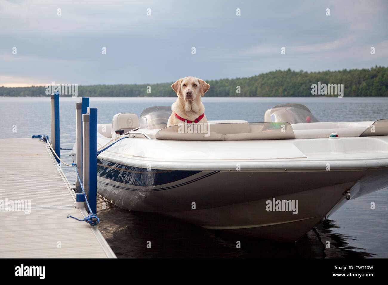 Funny boat hi-res stock photography and images - Alamy
