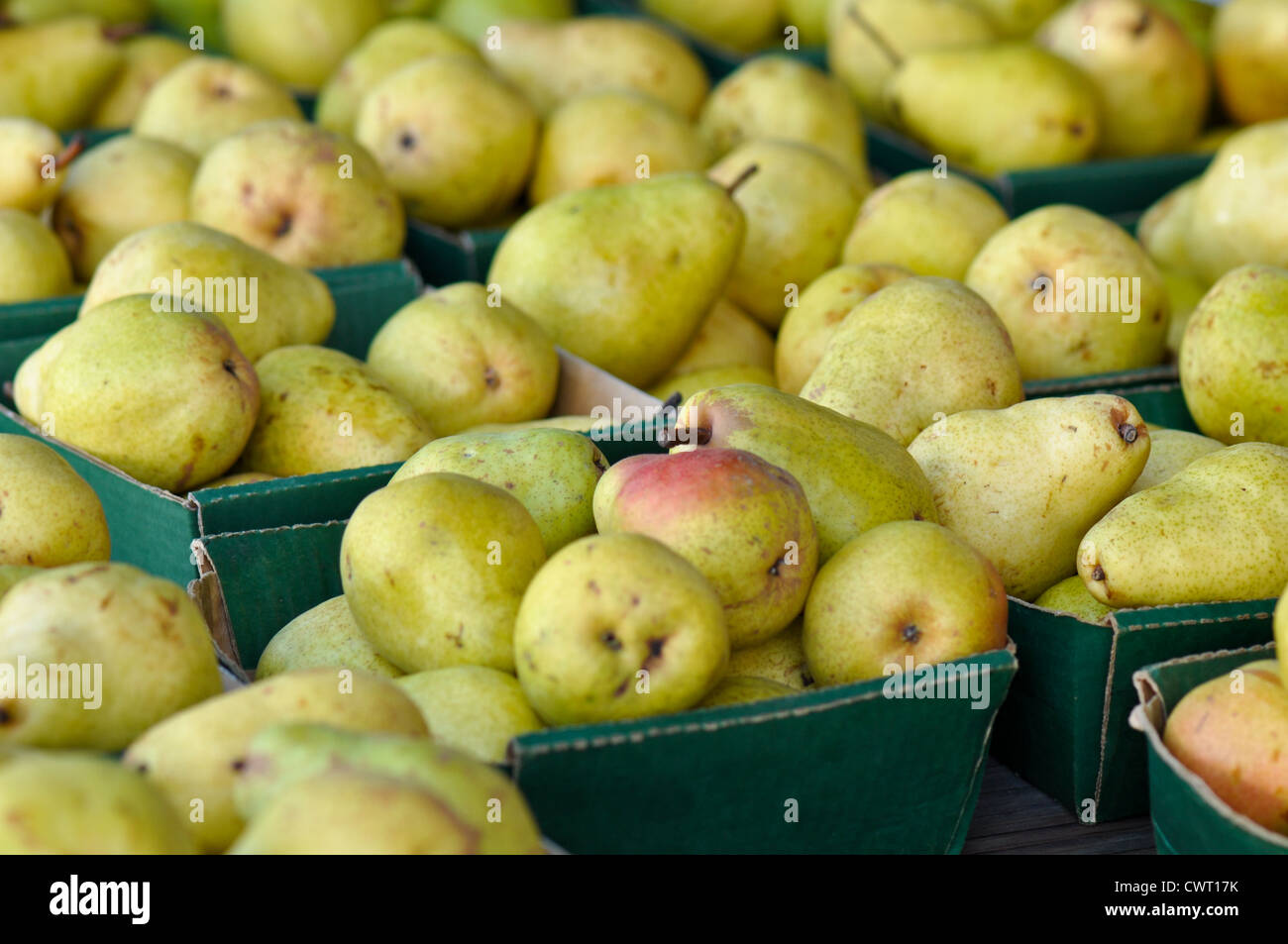 Feeding pears hi-res stock photography and images - Alamy
