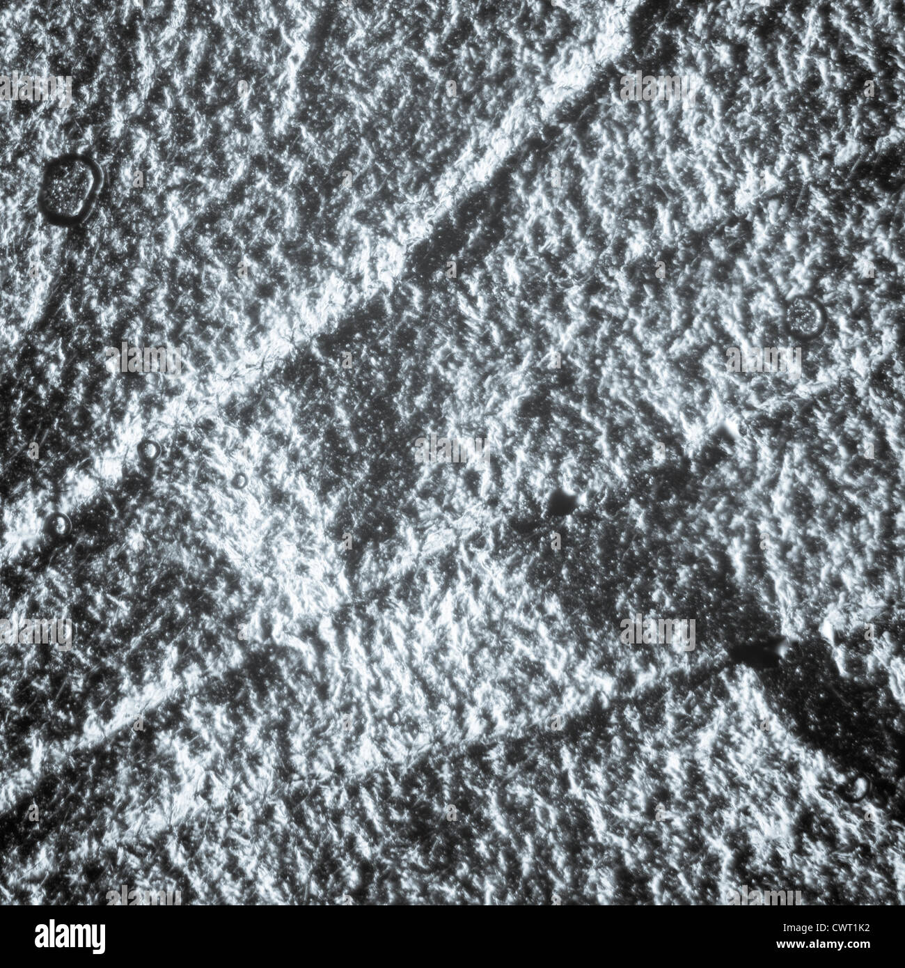 science micrograph insect wing detail texture micro Stock Photo - Alamy