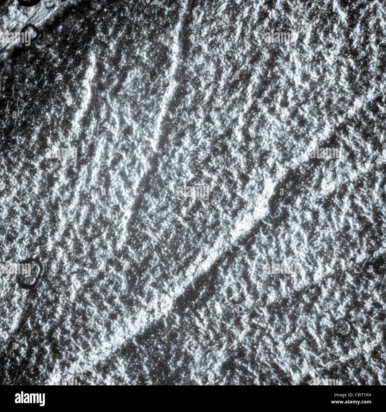 science micrograph insect wing detail texture micro Stock Photo - Alamy