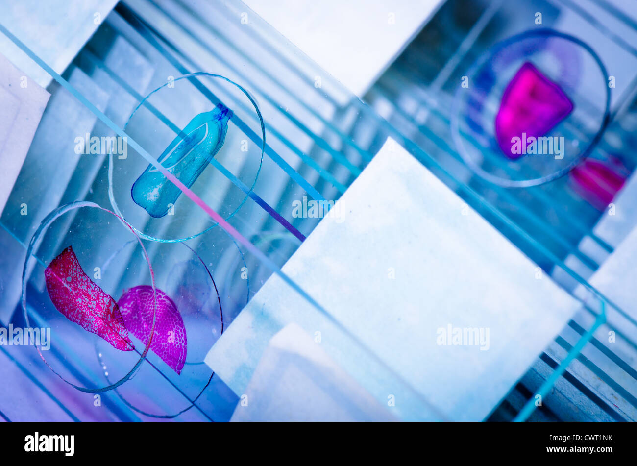 science medical glass microscope slide with sample Stock Photo - Alamy