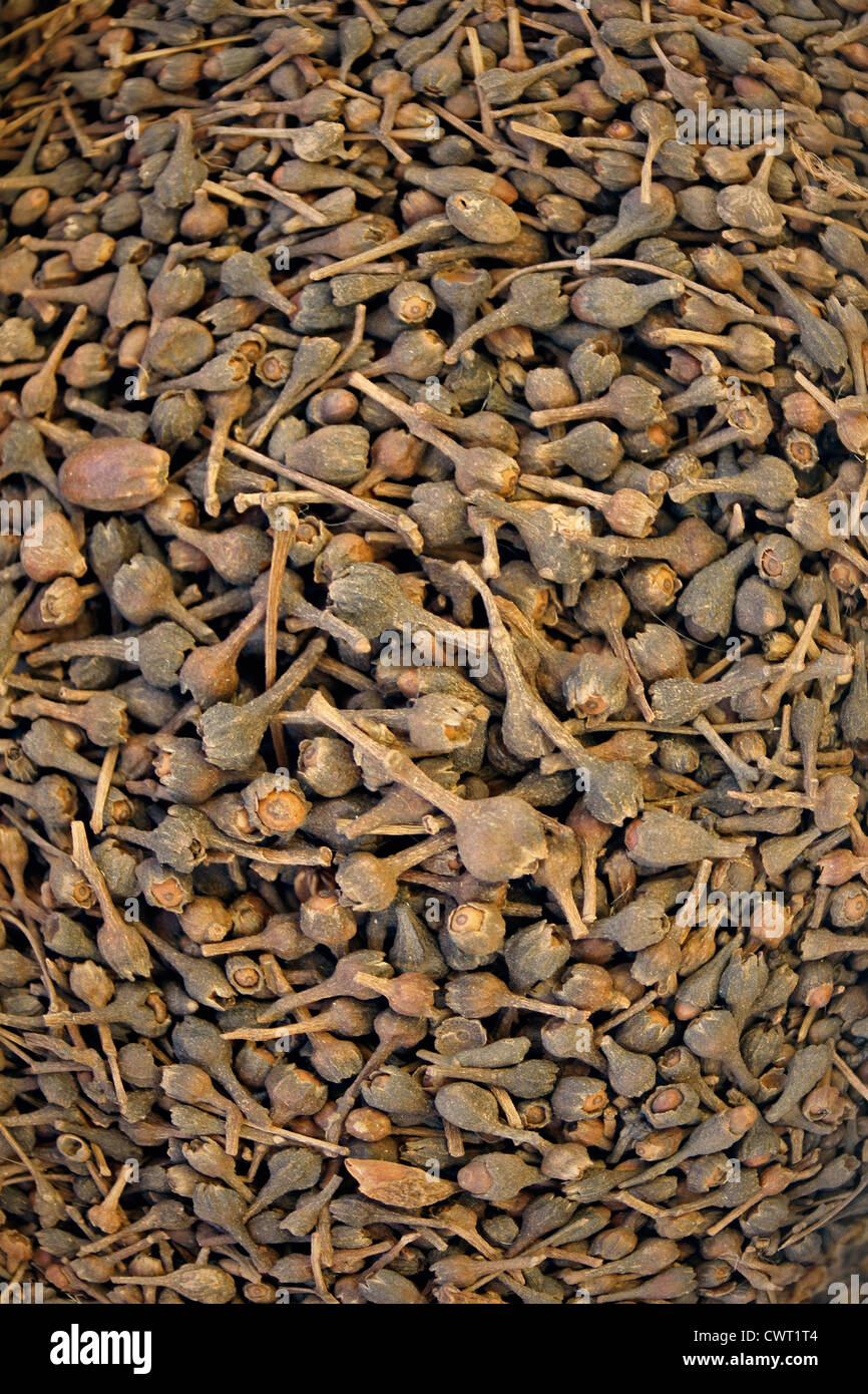 Dried cinnamon buds Dried cinnamon buds Spice ingredient content dry ...