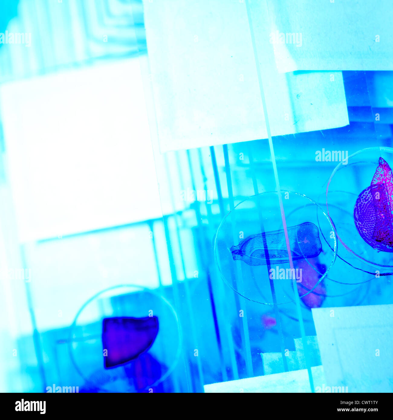 science medical glass microscope slide with sample Stock Photo - Alamy