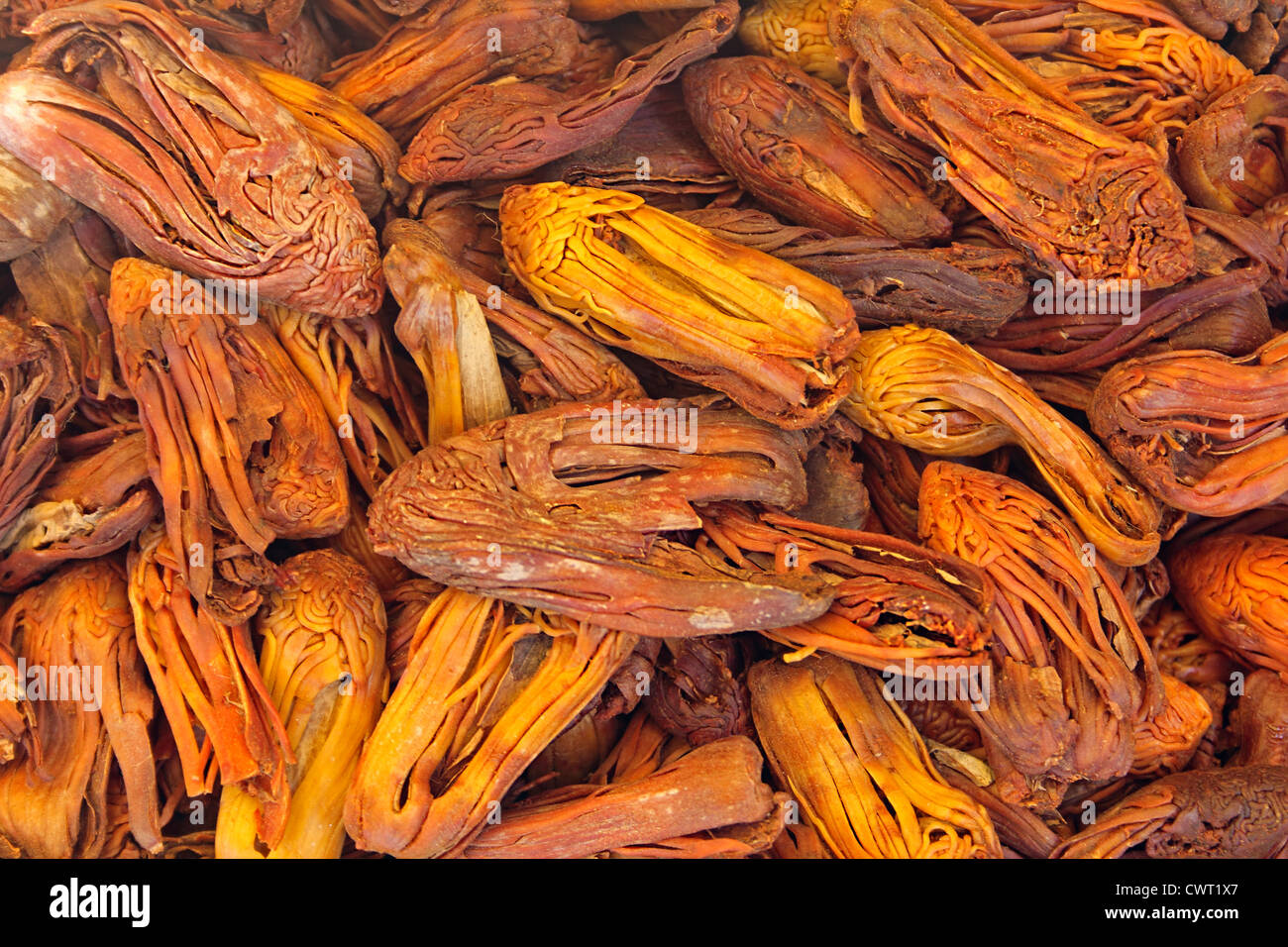 Mace from the seed covering hi-res stock photography and images - Alamy