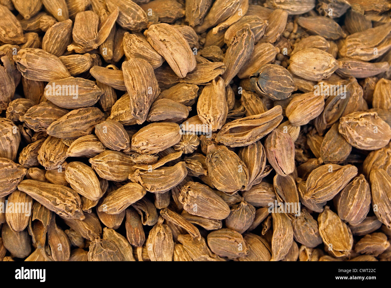 Whole black cardamoms Whole black cardamoms Stock Photo - Alamy