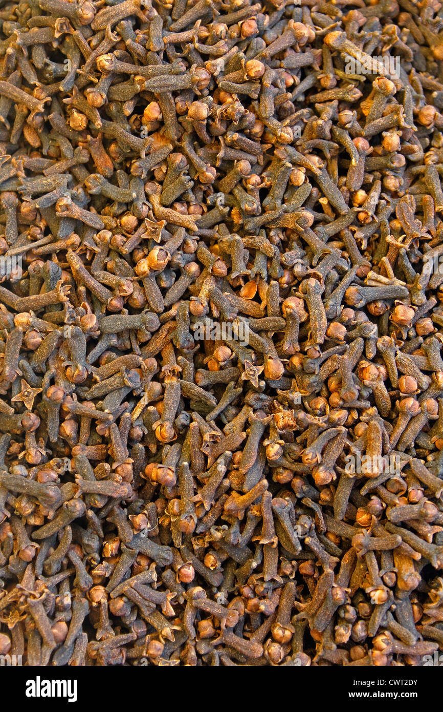 Cloves Syzygium aromaticum medicine spice therapy aroma aromatic ...