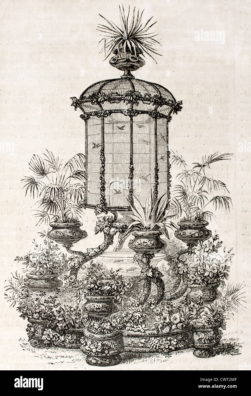 Aviary old illustration Stock Photo - Alamy