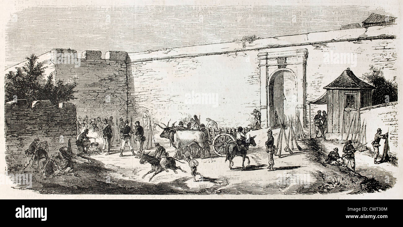 Garibaldian Cosenza division bivouac in Porta Messina, Milazzo, Sicily ...