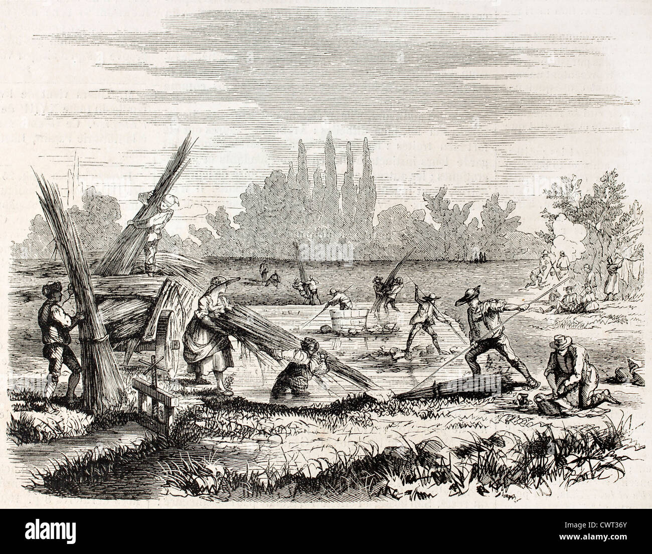 Water retting of hemp hi-res stock photography and images - Alamy