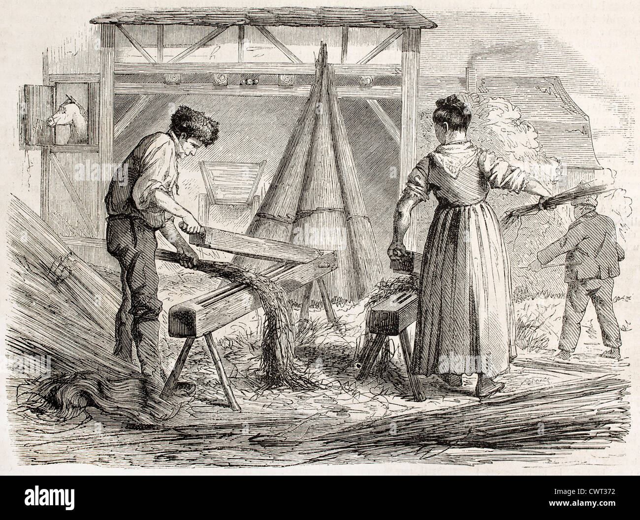 Old picture of hemp hi-res stock photography and images - Alamy