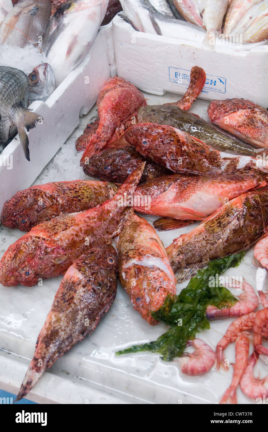 red mullet fresh fish fishmongers fishmonger fishes Stock Photo - Alamy