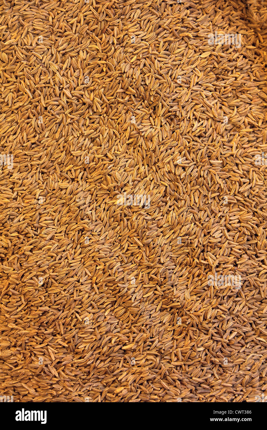 cumin seeds, jeera, cuminum cyminum Stock Photo - Alamy