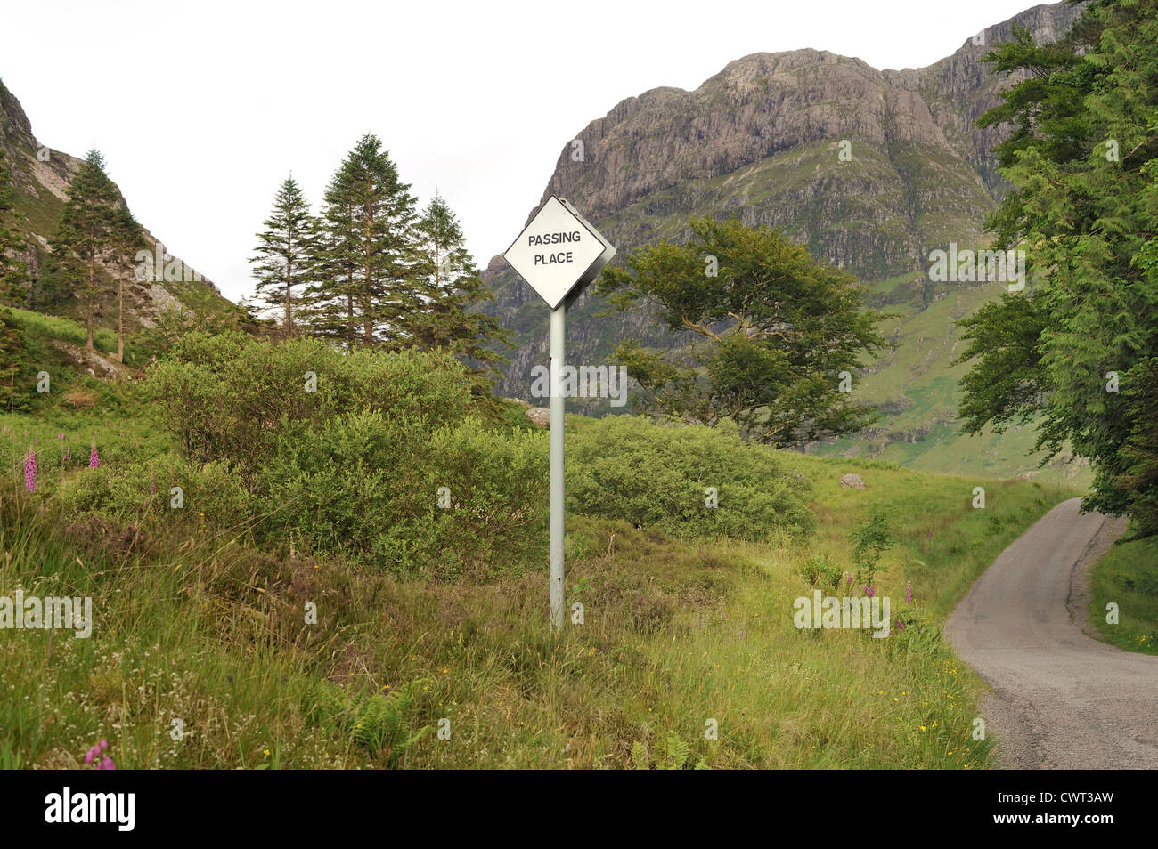 Passing place road sign in the highlands of Scotland Stock Photo - Alamy