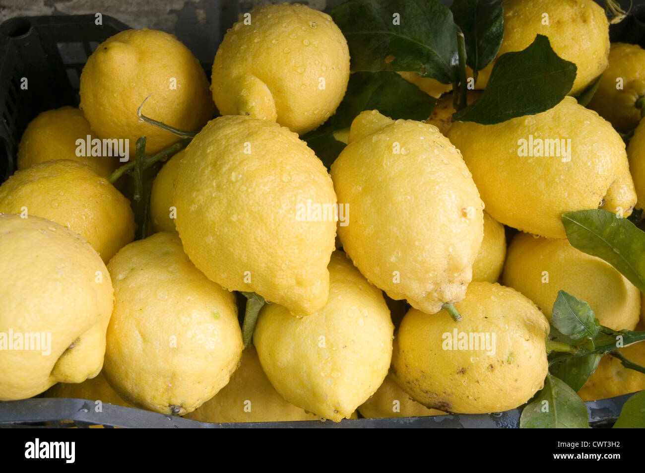Sicilian and lemons hi-res stock photography and images - Alamy