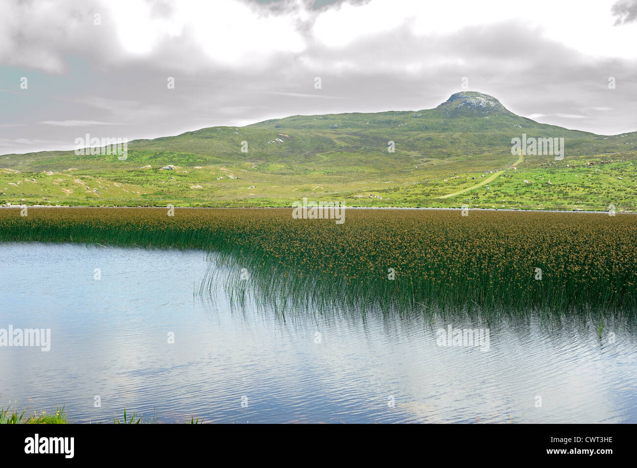 Reeds by lake hi-res stock photography and images - Alamy