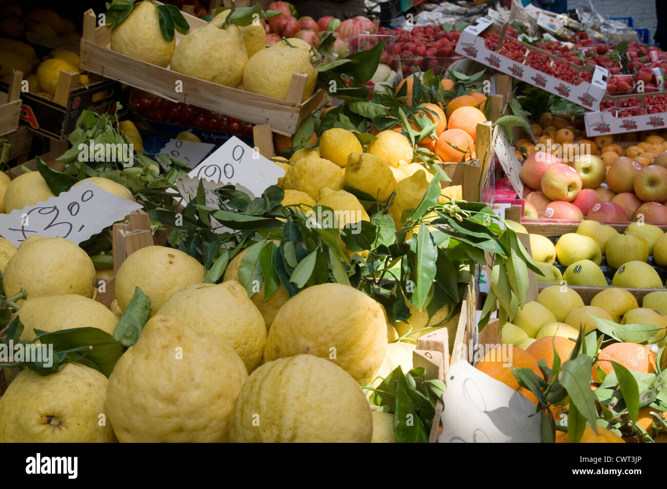 fresh sicilian scilly lemon lemons Italian italy on market stalls stall ...