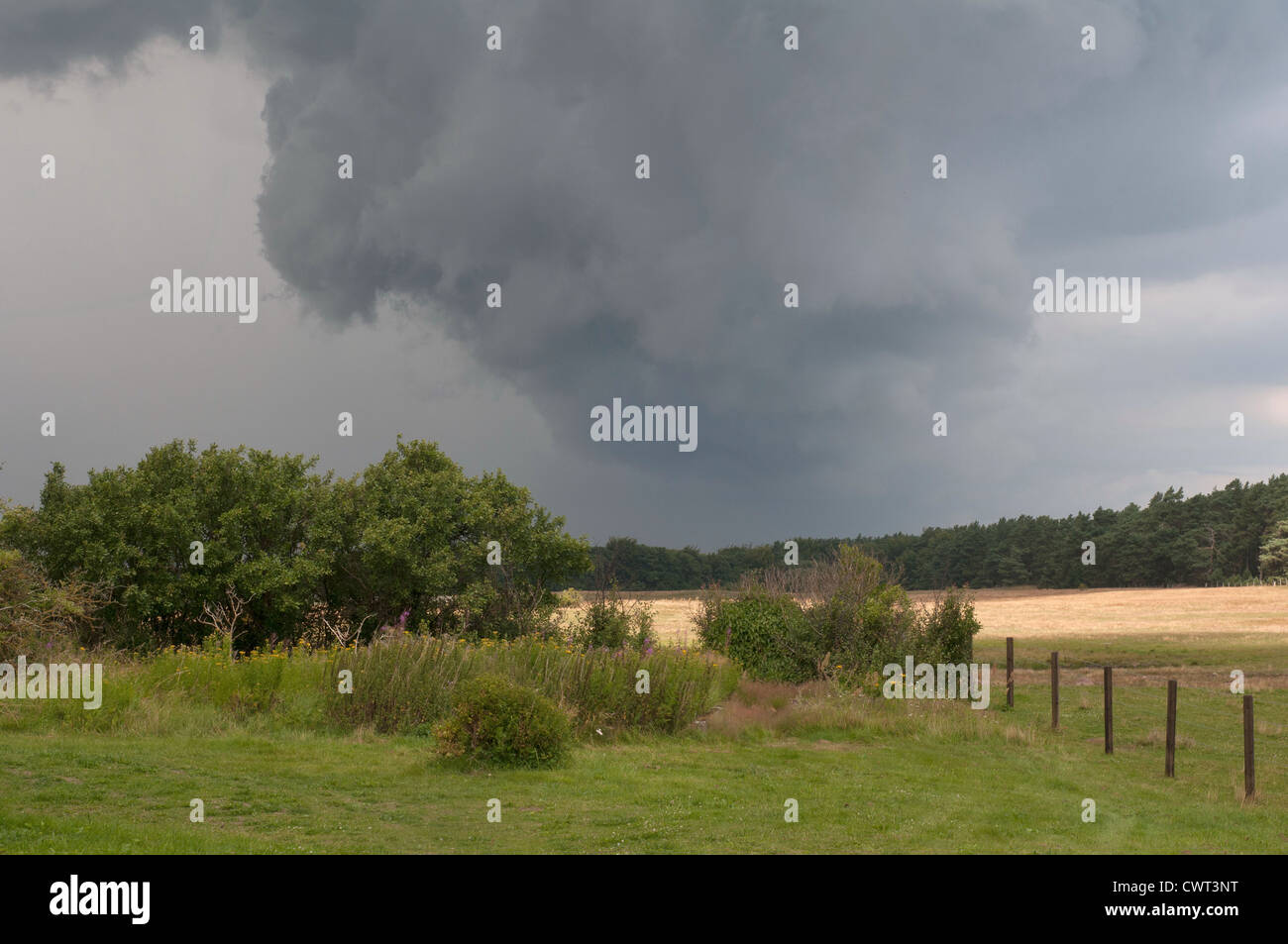 Face like thunder hi-res stock photography and images - Alamy