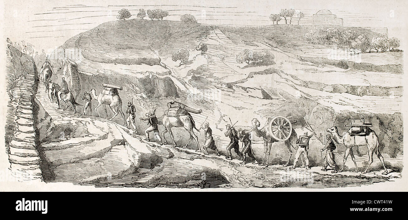 French army expedition in Syria Stock Photo - Alamy