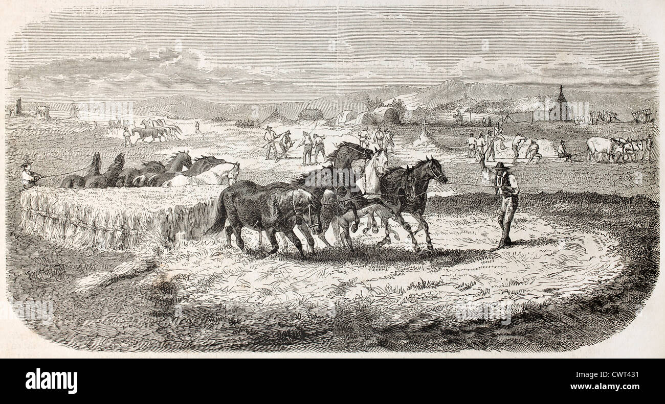 Agriculture in ancient rome hi-res stock photography and images - Alamy