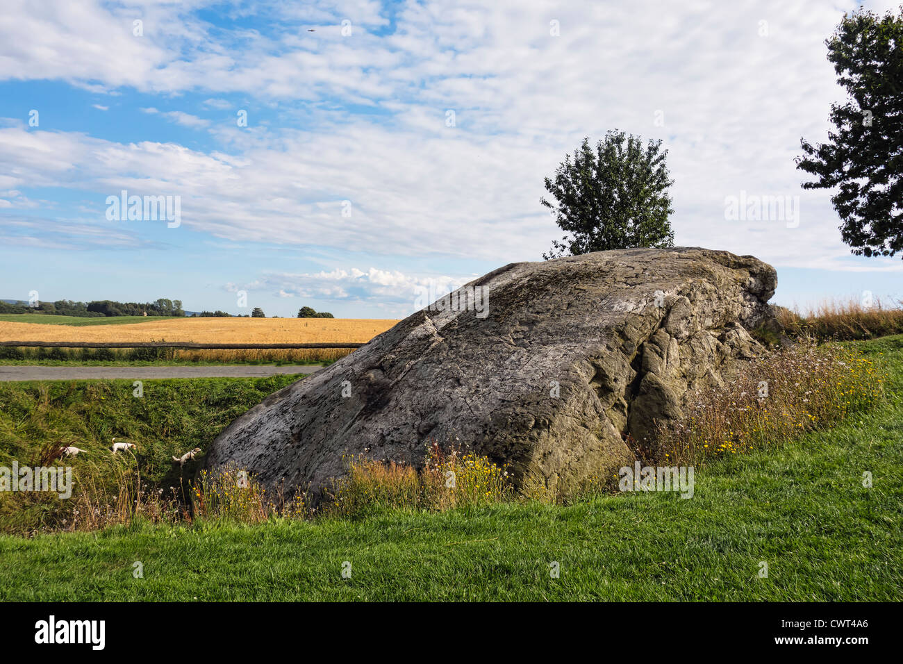 The Damestone is the largest Stone in Denmark Stock Photo - Alamy