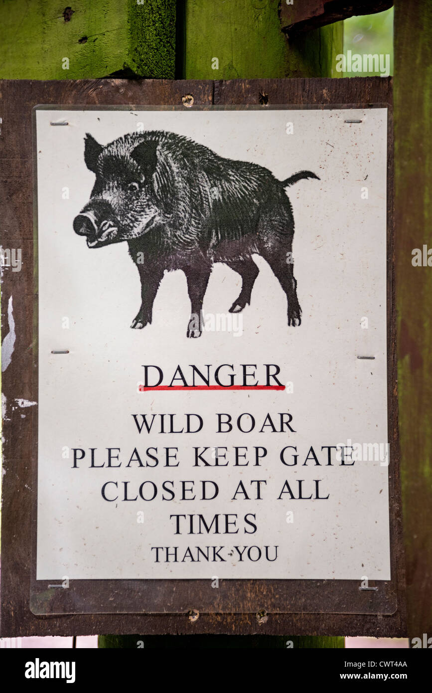 Warning danger wild boar sign hi-res stock photography and images - Alamy