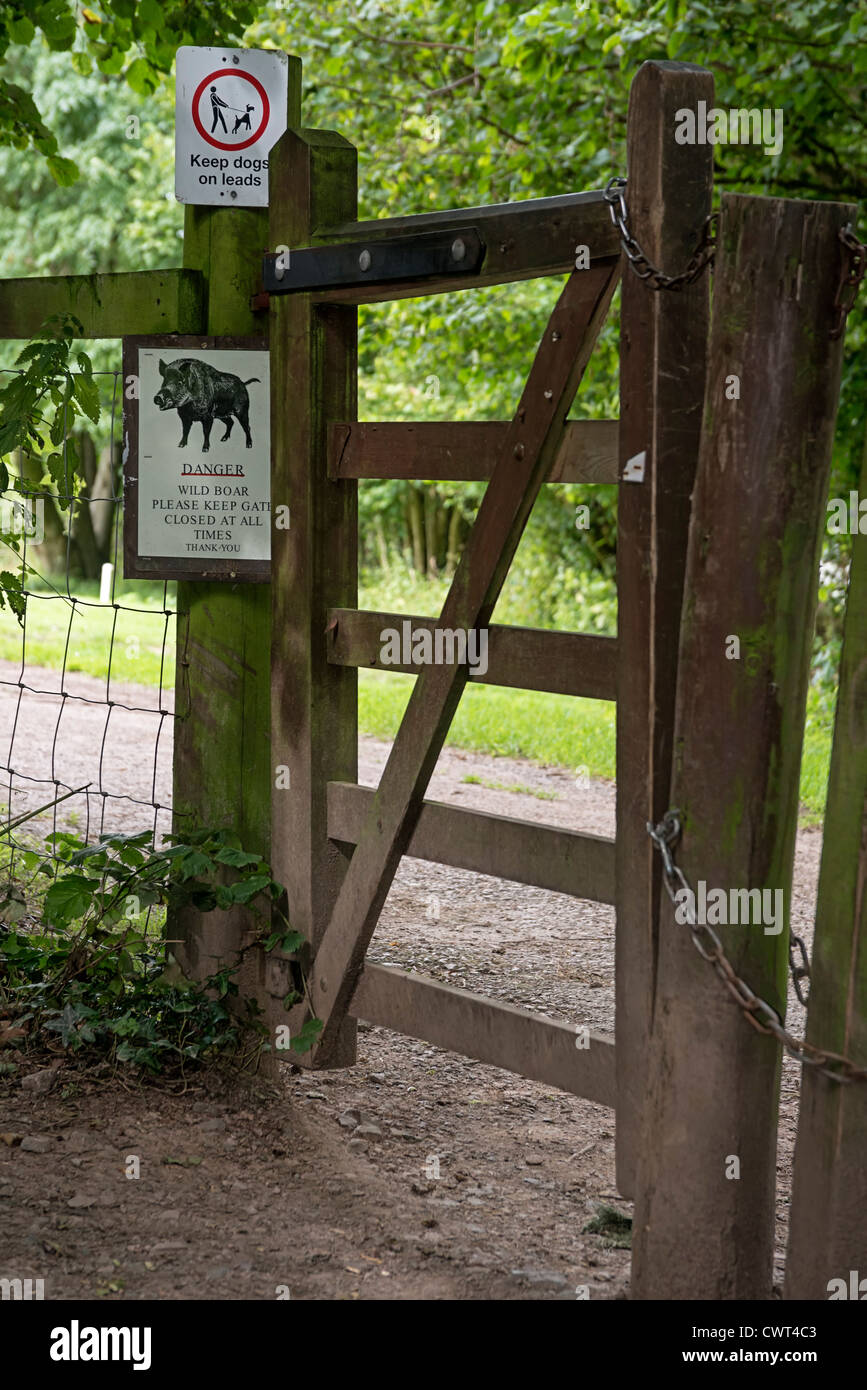 Danger wild boar sign on gate Stock Photo - Alamy