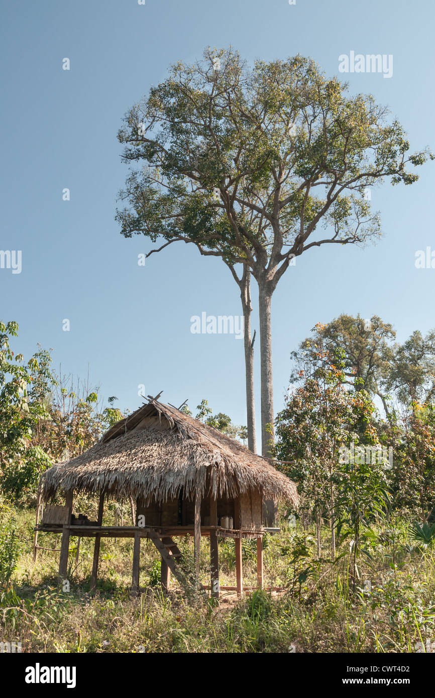 House and Tree Stock Photo - Alamy