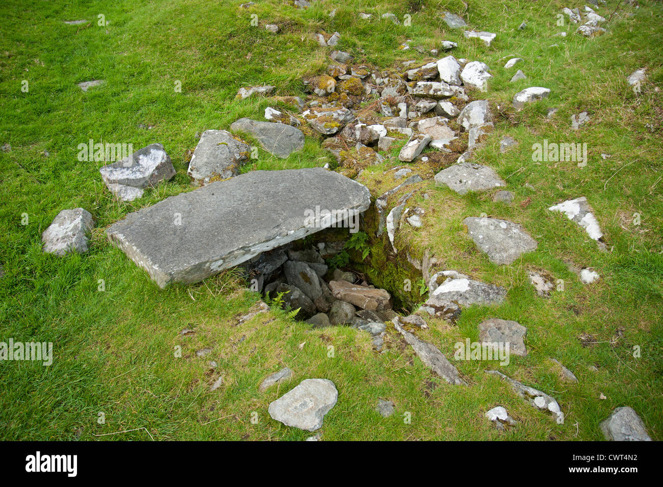 The site of the Dunadd Hill Fort at the Kilmartin Glen, Argyll and Bute ...