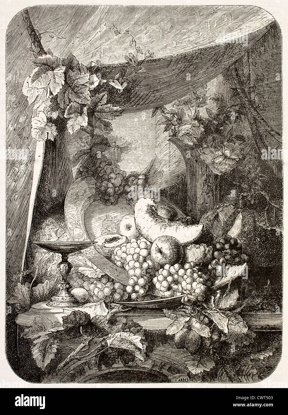 Fruits drawing hi-res stock photography and images - Alamy