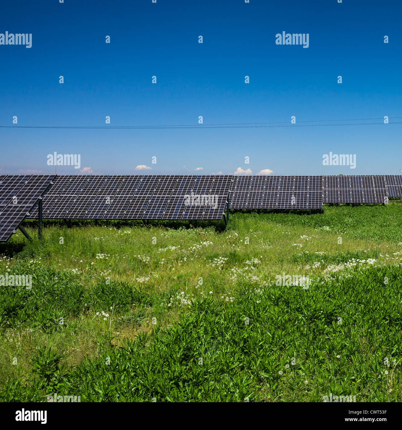 Sunlight as a resource of renewable energy: solar panels on a sunny day ...