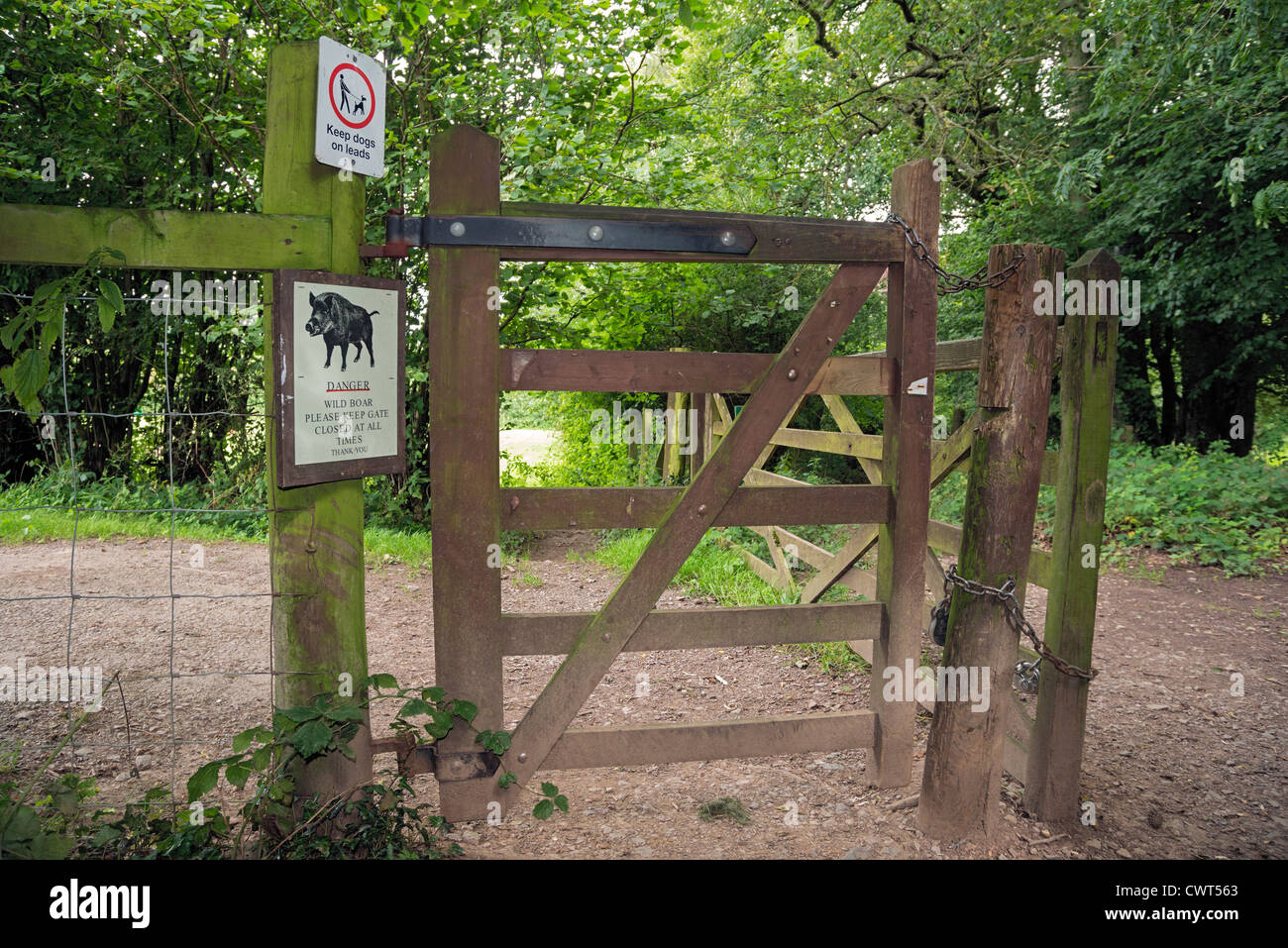 Danger wild boar sign on gate Stock Photo - Alamy