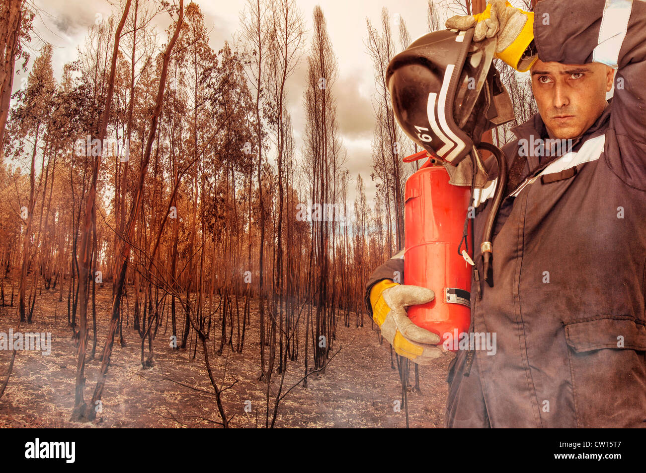Fireman in a burned forest Stock Photo - Alamy