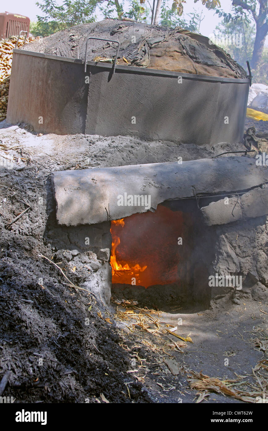 Turmeric, Curcuma longa being processed for drying and powdering, Wai ...