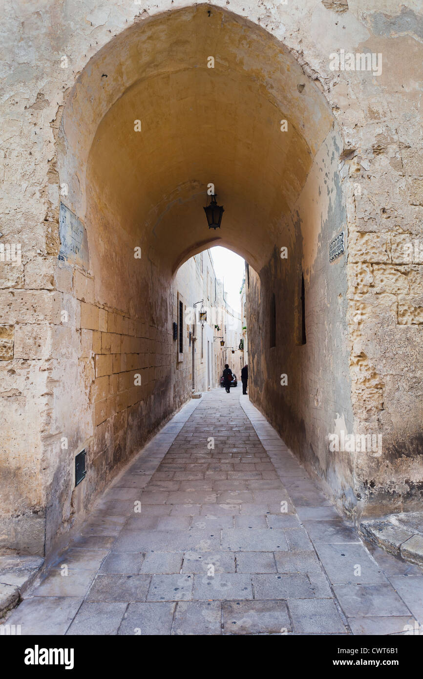 Mdina is a medieval walled town situated on a hill in the centre of the ...