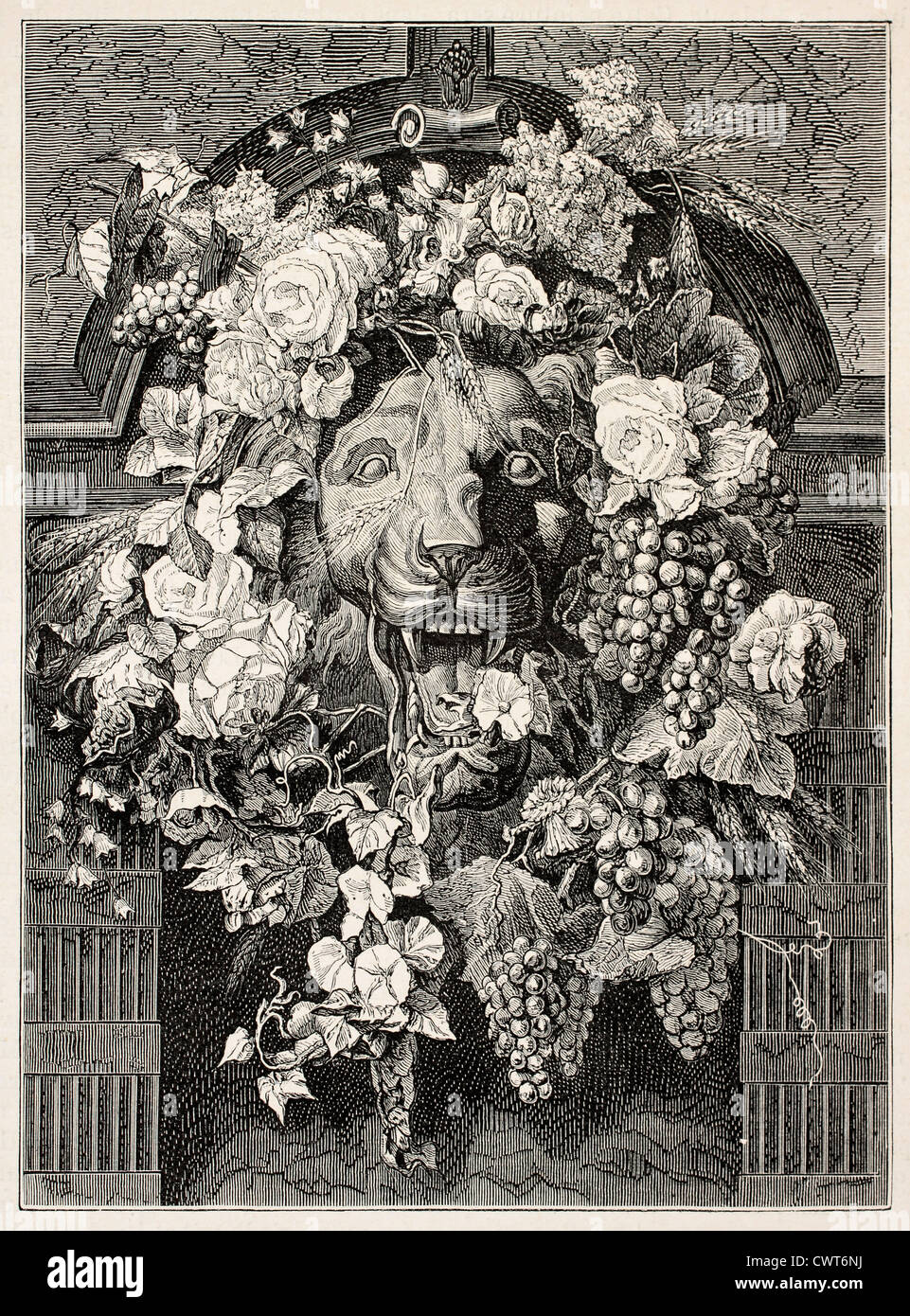 Lion mascaron hi-res stock photography and images - Alamy