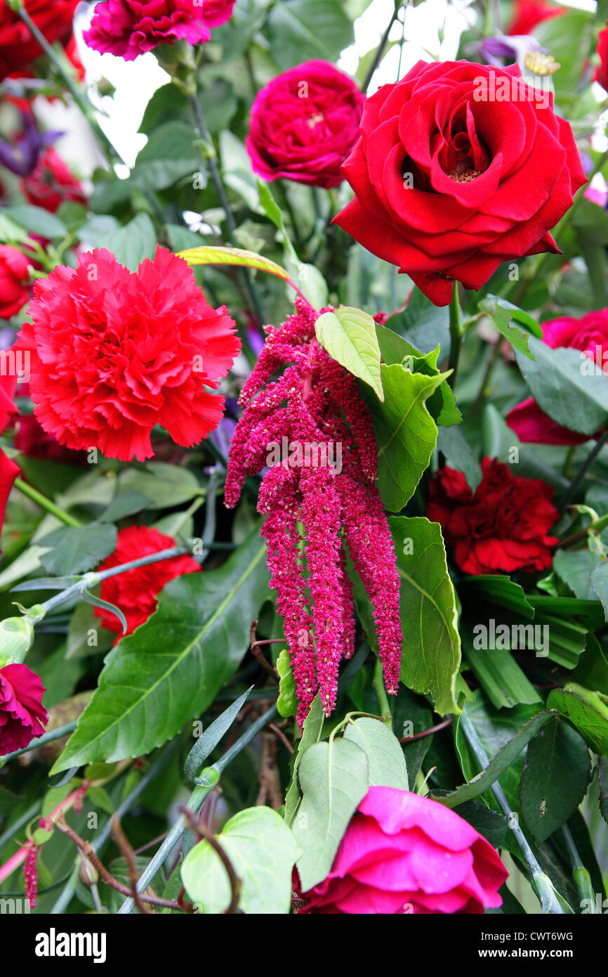 An array of roses hi-res stock photography and images - Alamy