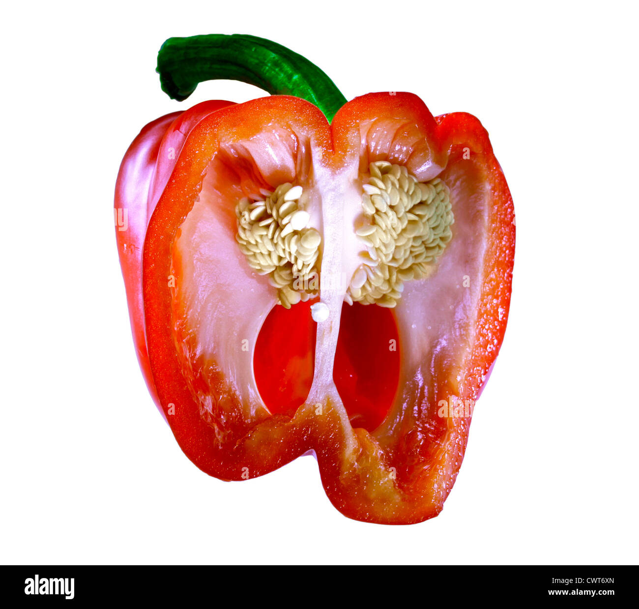 Anatomy of pepper Stock Photo - Alamy