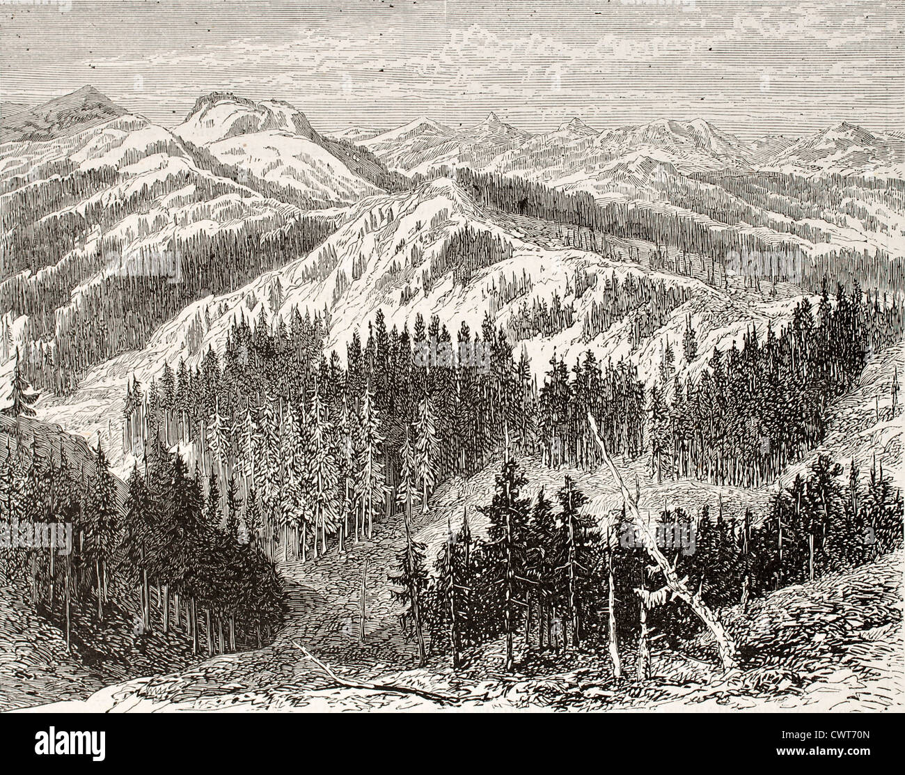 Nevada Drawing High Resolution Stock Photography and Images - Alamy