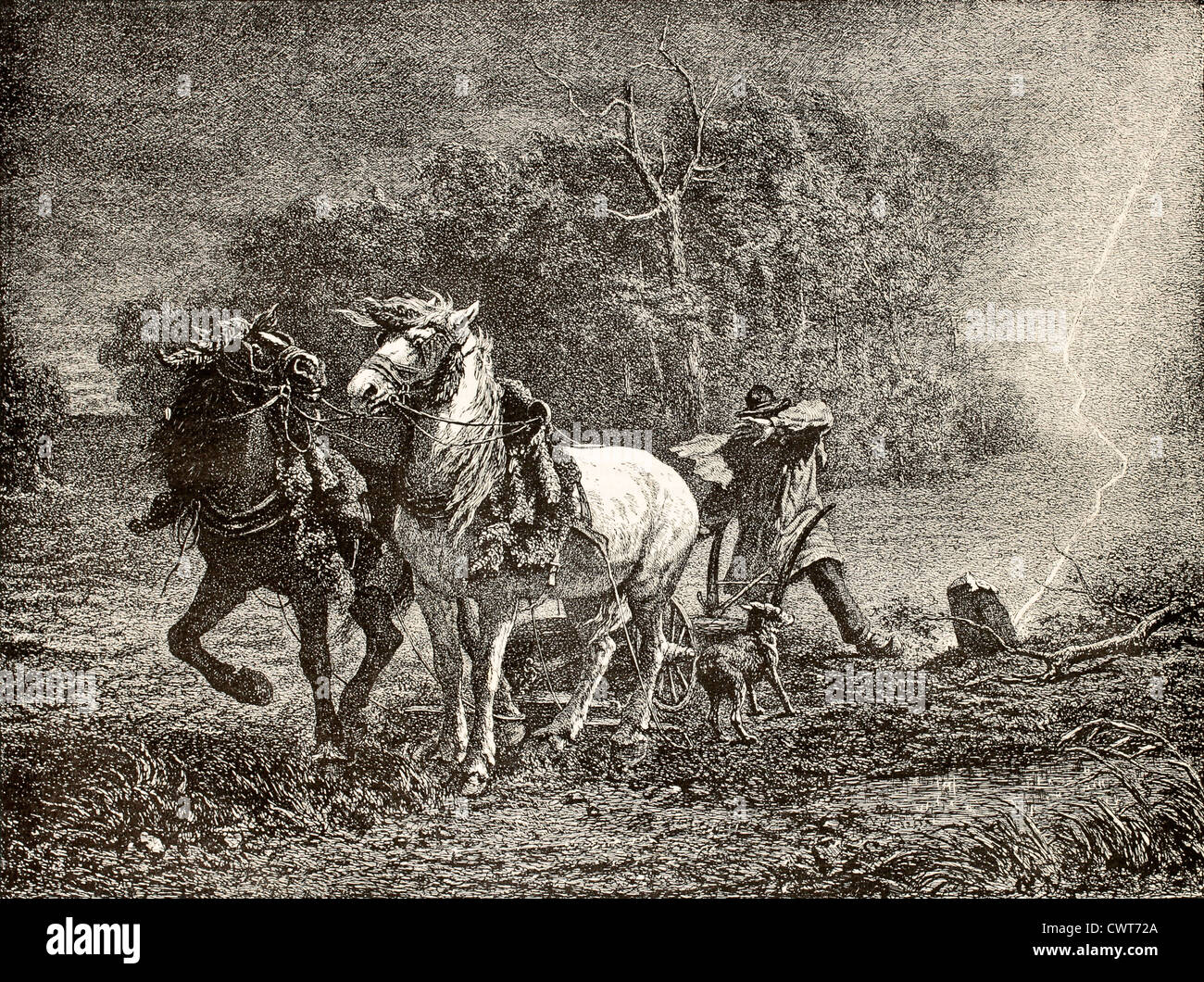 Lightning bolt flash thunderbolt hi-res stock photography and images ...