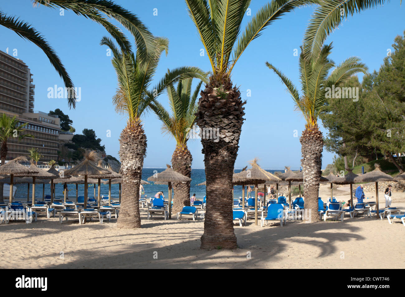 Cala Vinyes, Majorca (Mallorca), Spain Stock Photo - Alamy