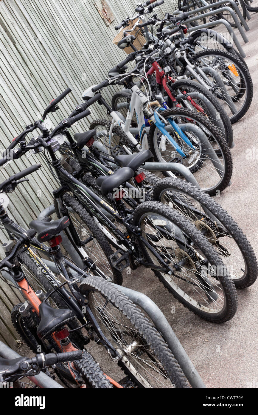 Diagonal view of a line of mountain bikes Stock Photo - Alamy