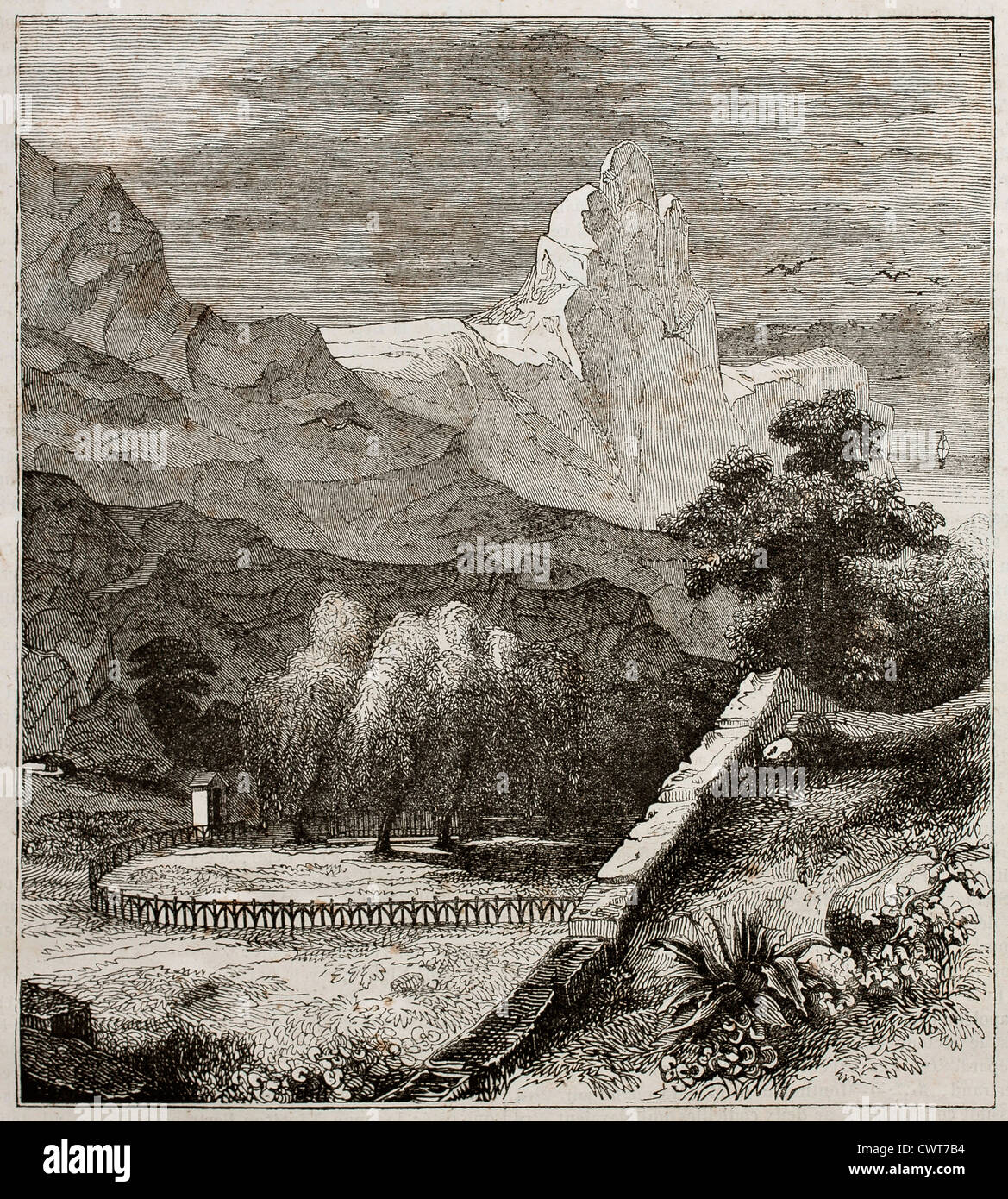 Napoleon dead hi-res stock photography and images - Alamy