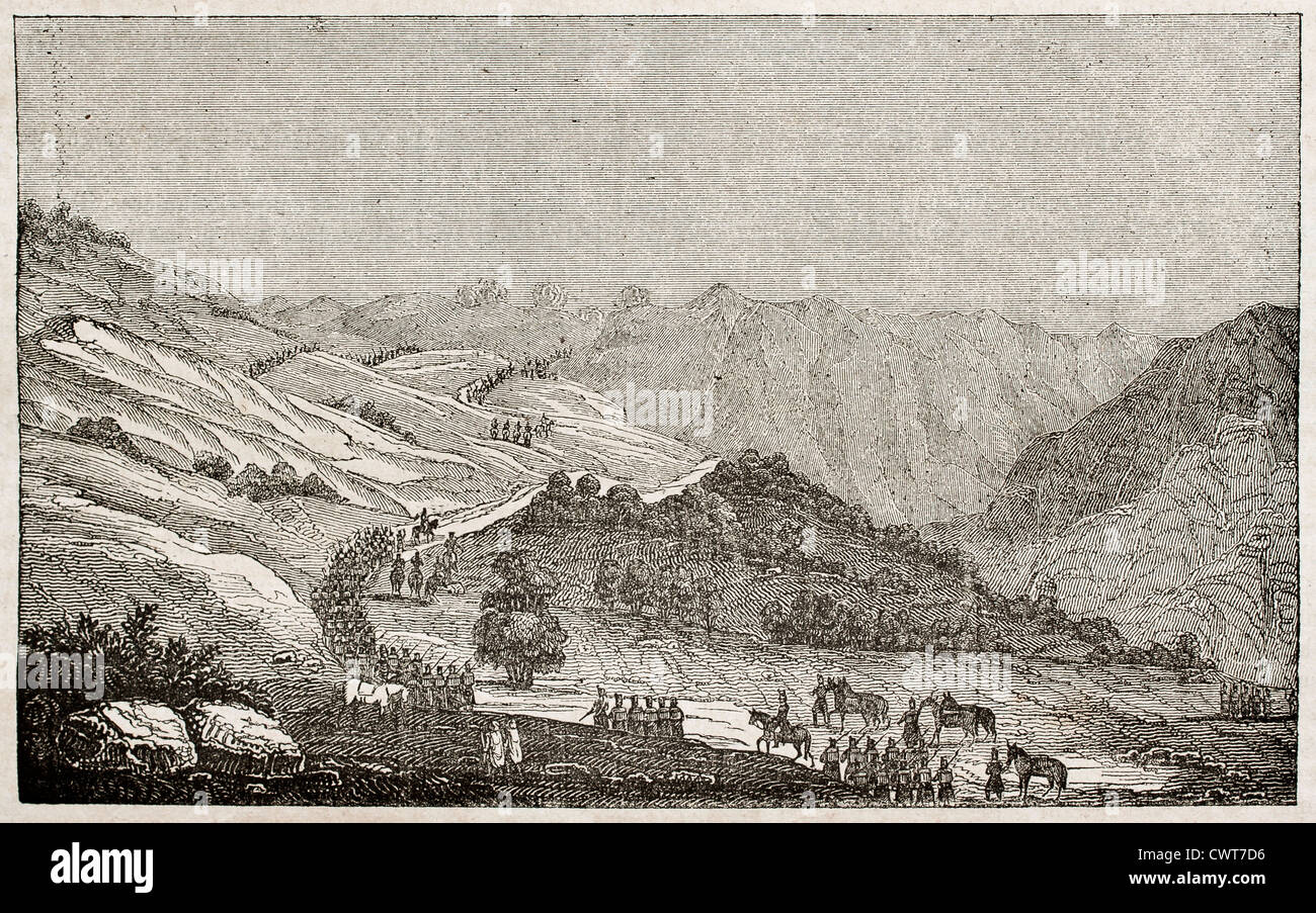 Teniah hi-res stock photography and images - Alamy