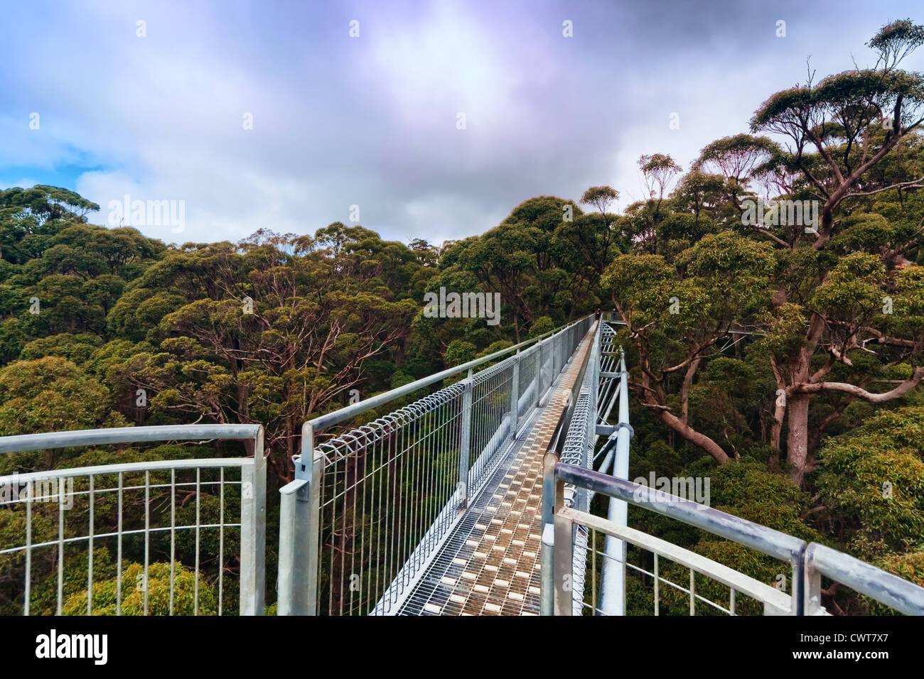 Treetop walk hi-res stock photography and images - Alamy