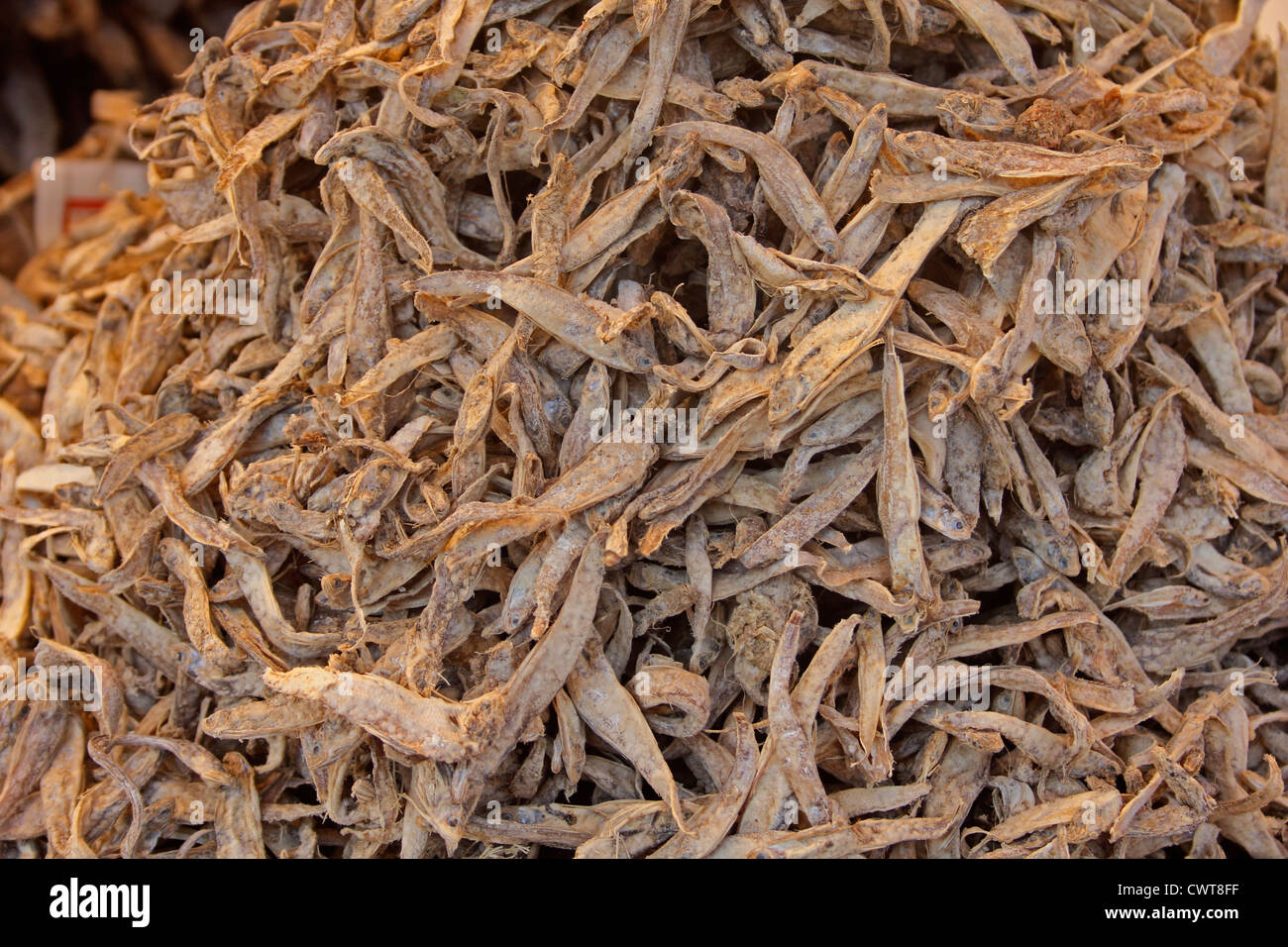 Dry fishes for selling in a fish market Maharashtra, India Stock Photo ...