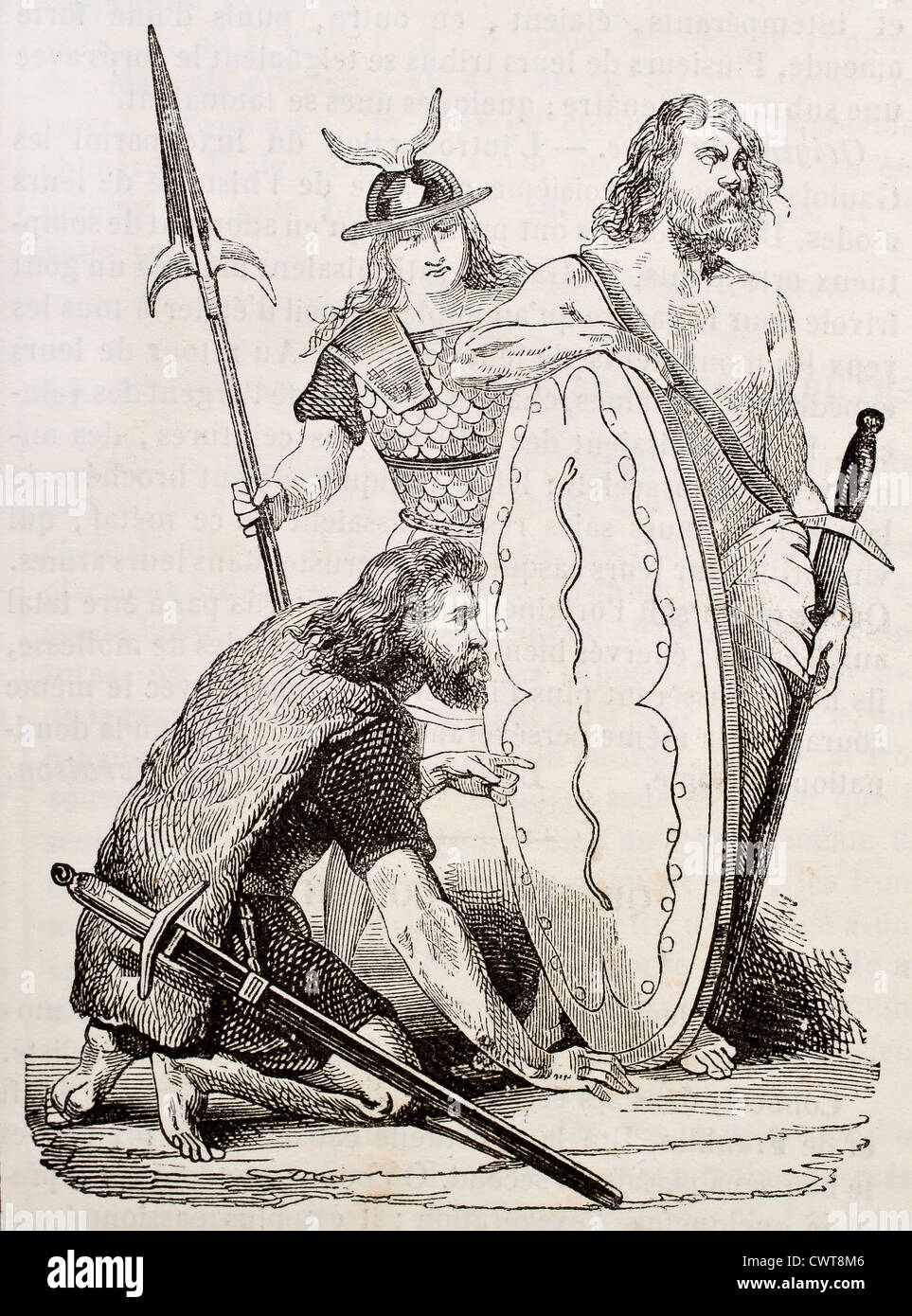 Gaul hi-res stock photography and images - Alamy