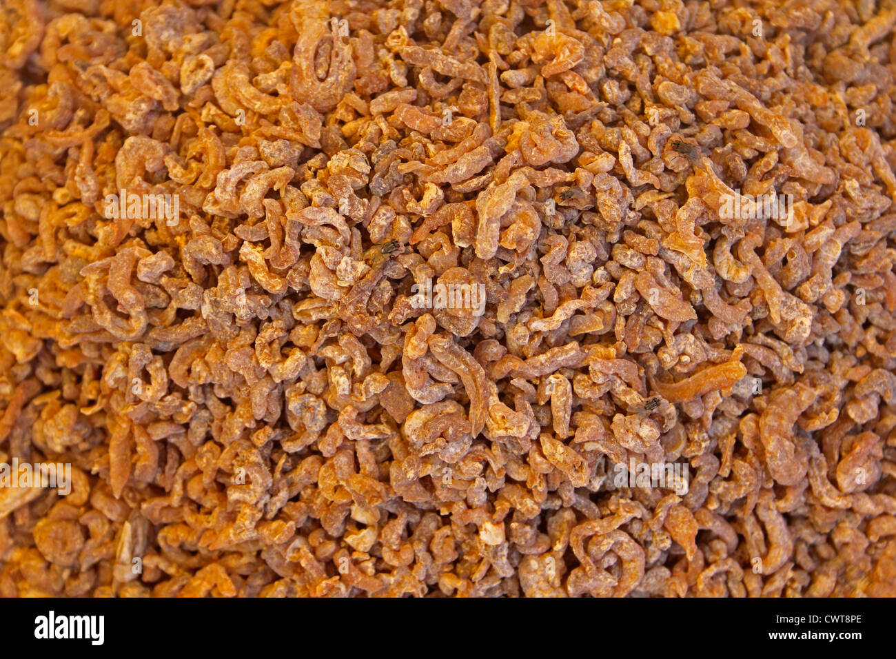 Dry fishes for selling in a fish market Maharashtra, India Stock Photo ...
