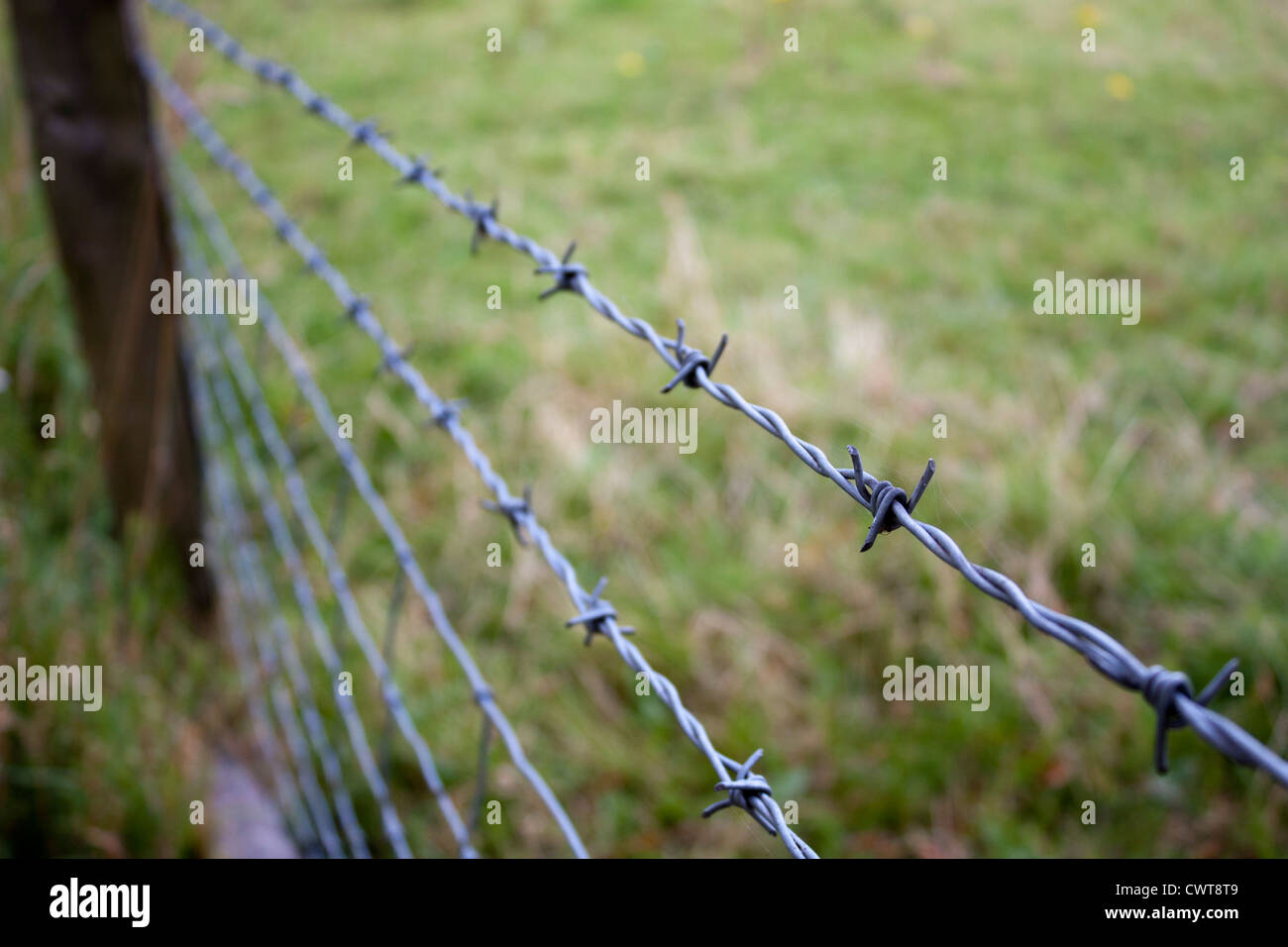 Barbed wire fence aroud field Stock Photo - Alamy