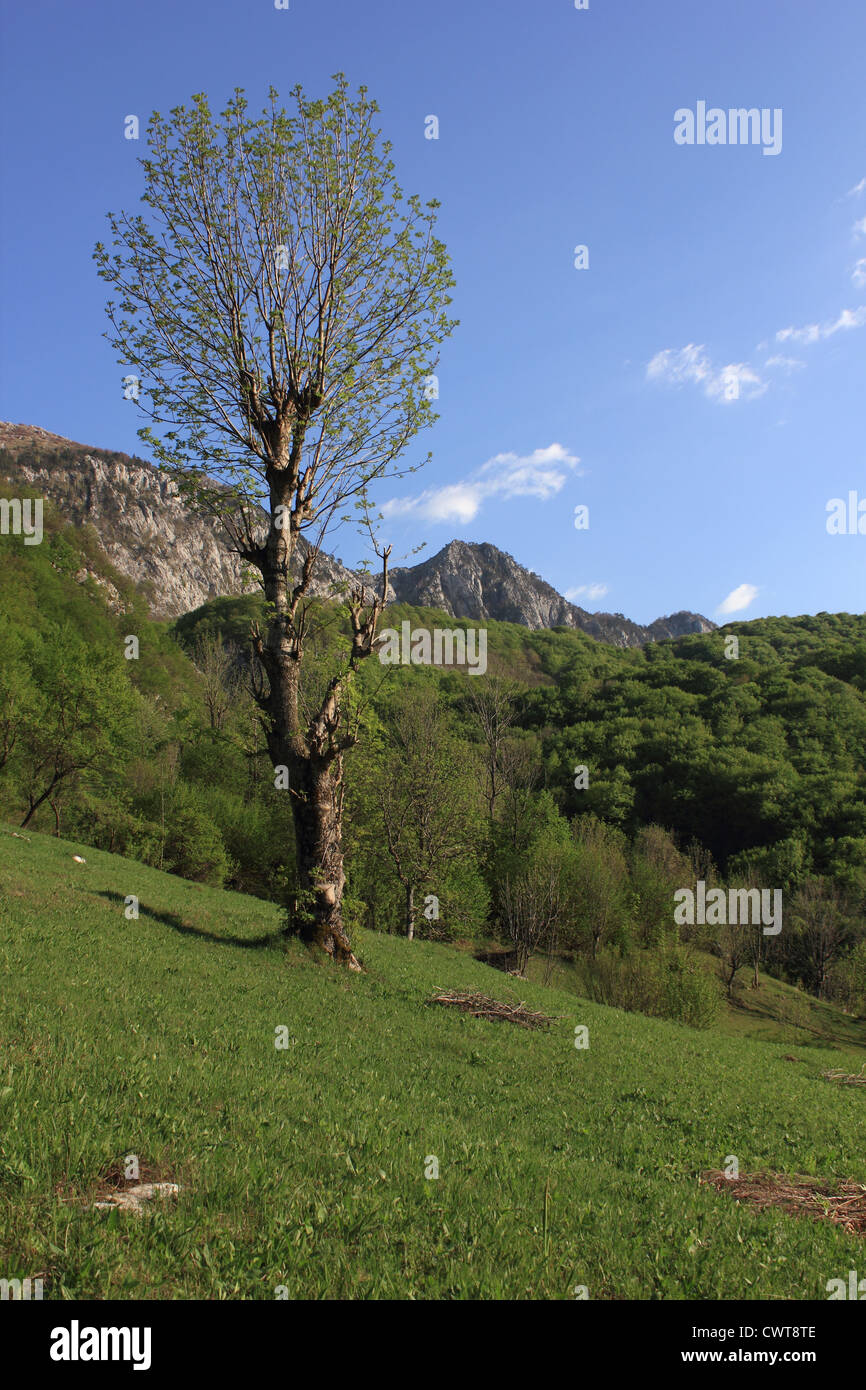 Cavernous limestone High Resolution Stock Photography and Images - Alamy