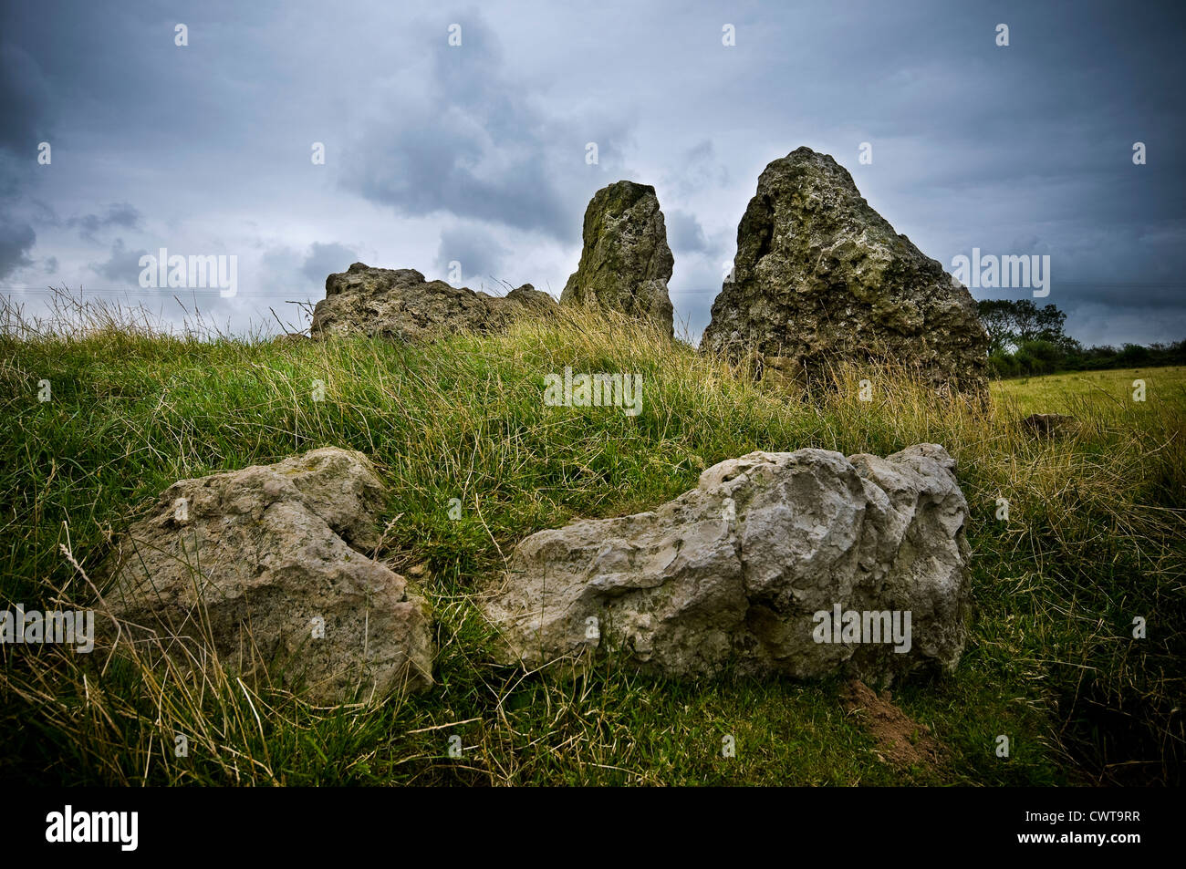 The Grey Mare and her Colts Neolithic chambered long barrow remains ...